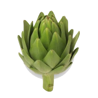 Hình ảnh hoa Atisô PNG - Tải về hình PNG hoa Atisô miễn phí